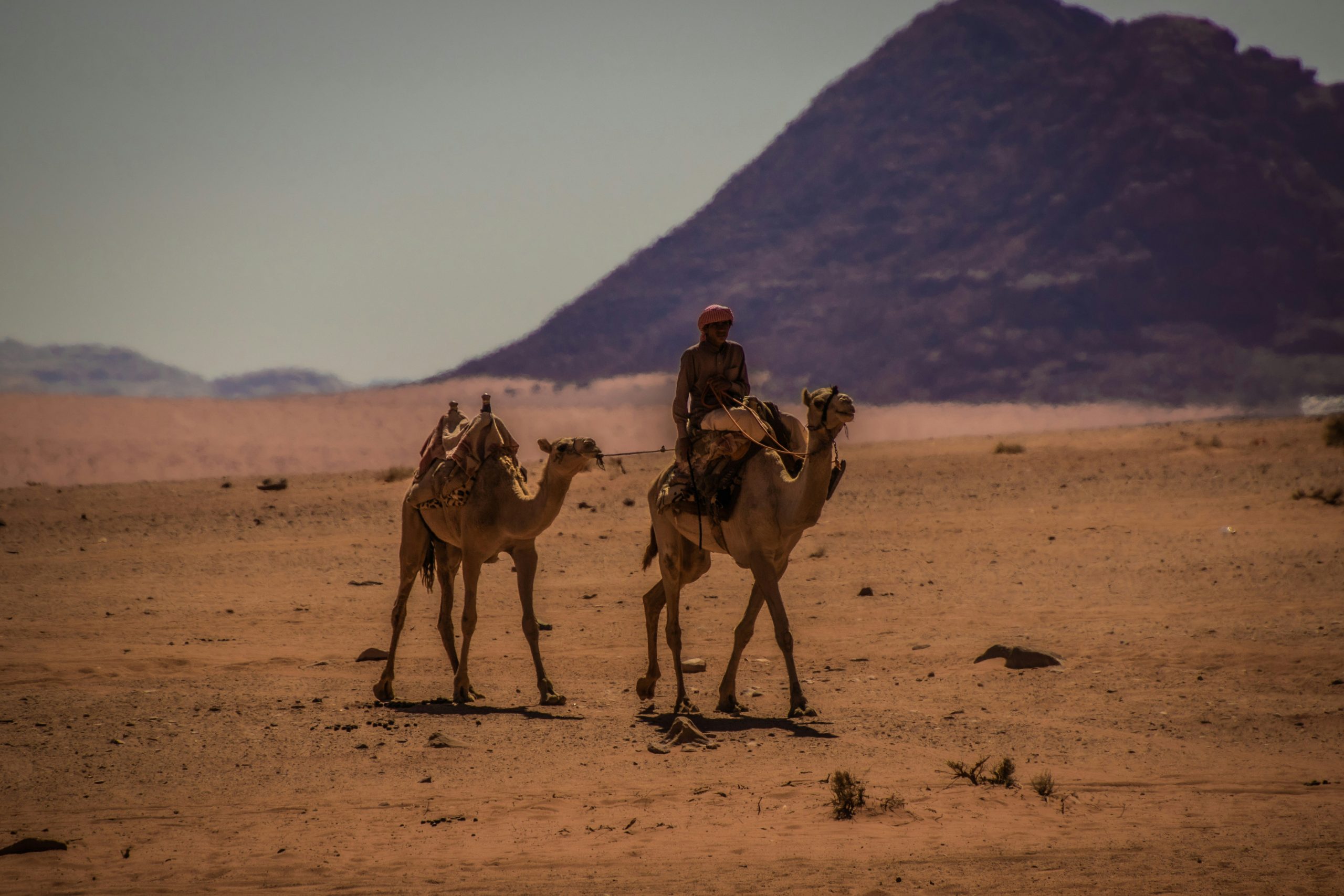 A Bedouin was asked: "Who are the most honorable people in behavior ...